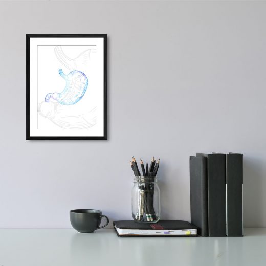 Anatomy Hand Drawn Outline Stomach Print - Pink Tag Prints