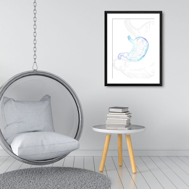 Anatomy Hand Drawn Outline Stomach Print - Pink Tag Prints